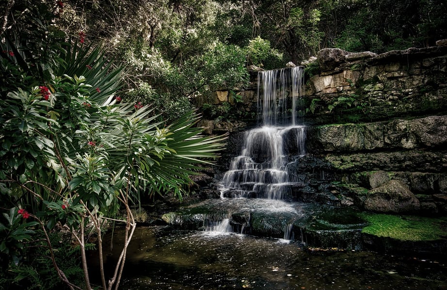 Discovering Austin Waterfalls: A Guide To The State's Most Beautiful ...