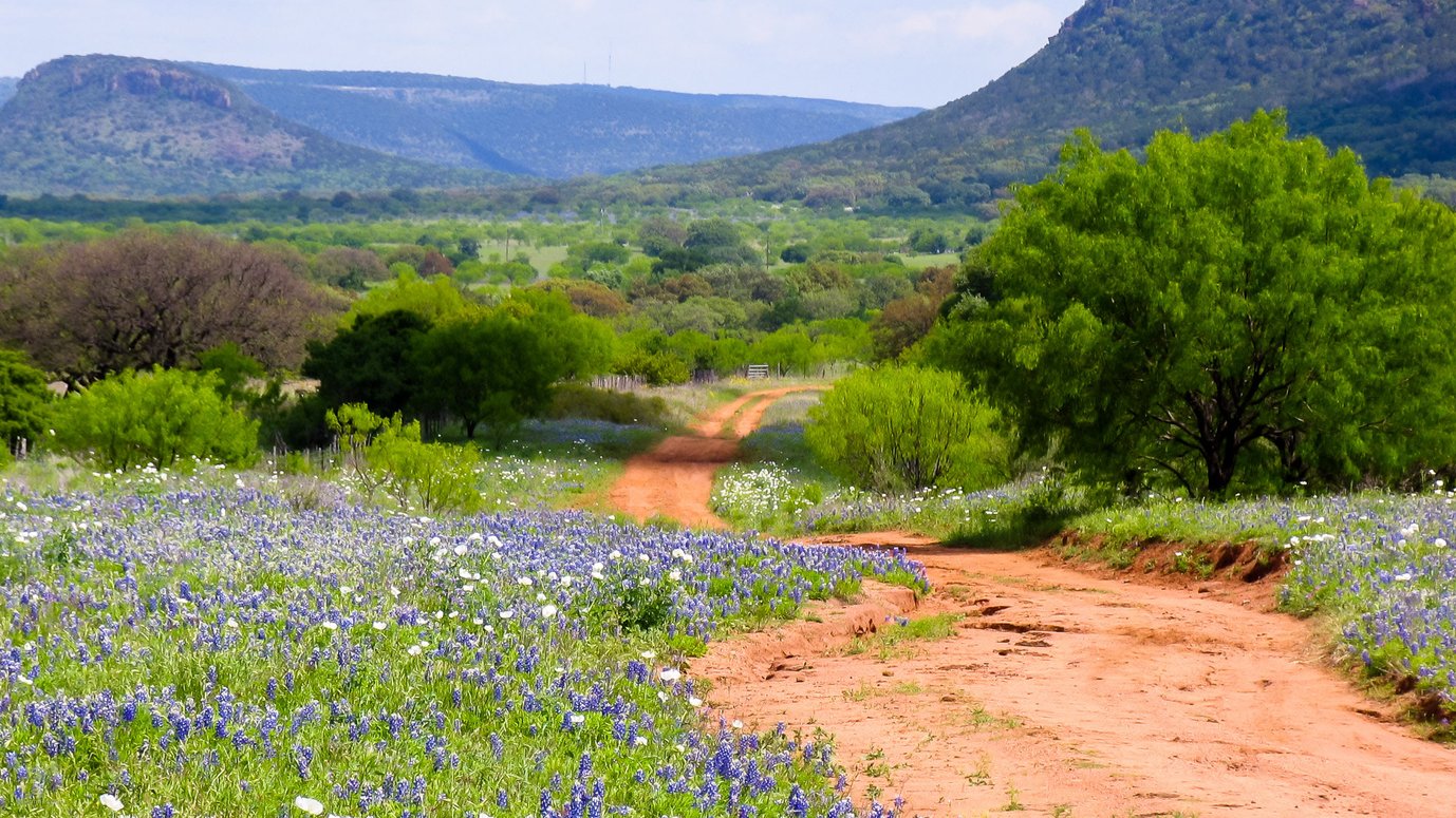 Explore Texas' Most Scenic Drives with Texas Shuttle: Road Trip Guide